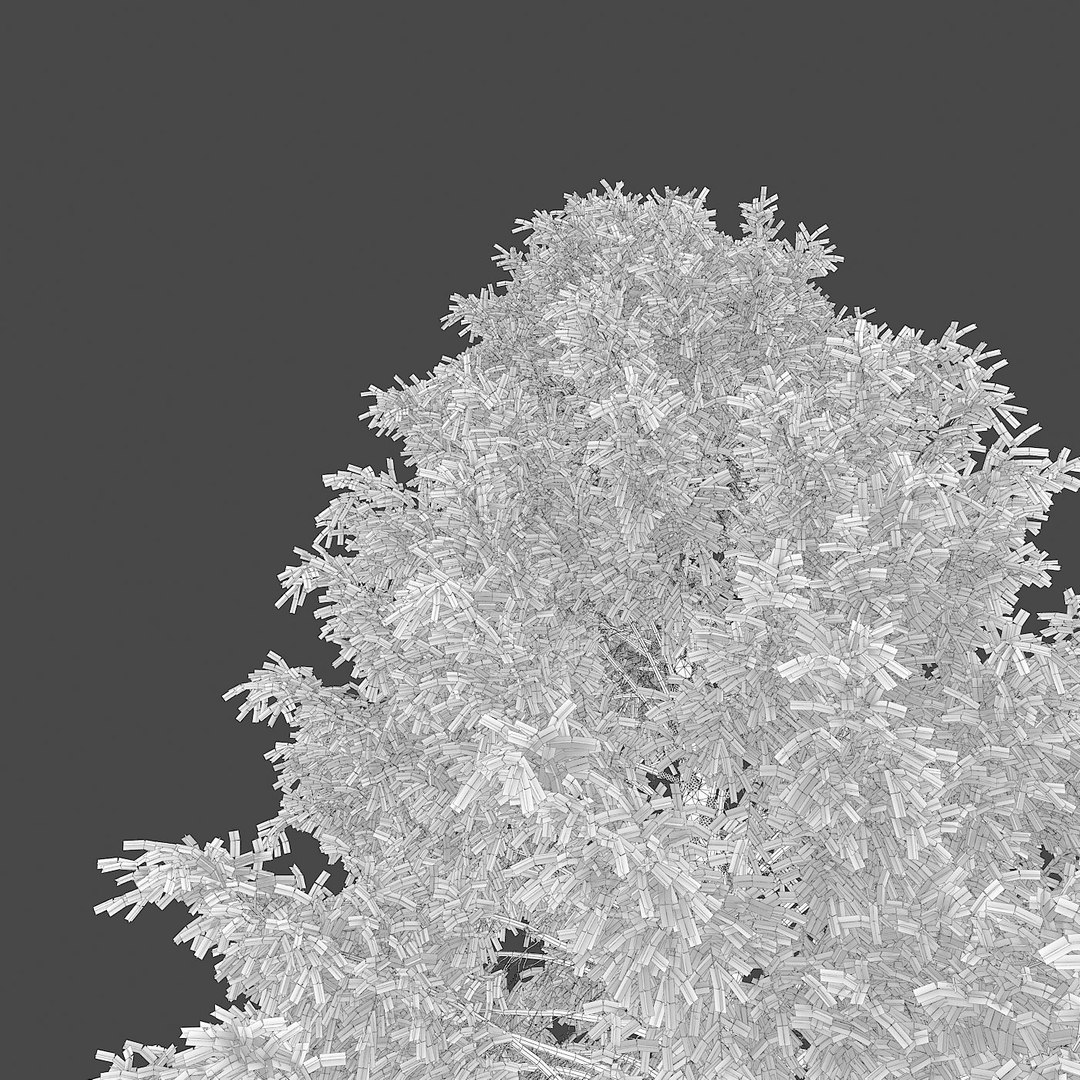 3d model spruce tree