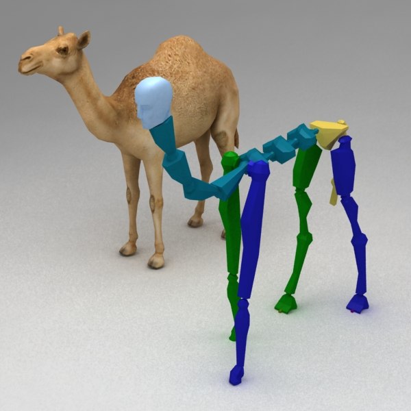 rigged dromedary camel walk animation 3d model