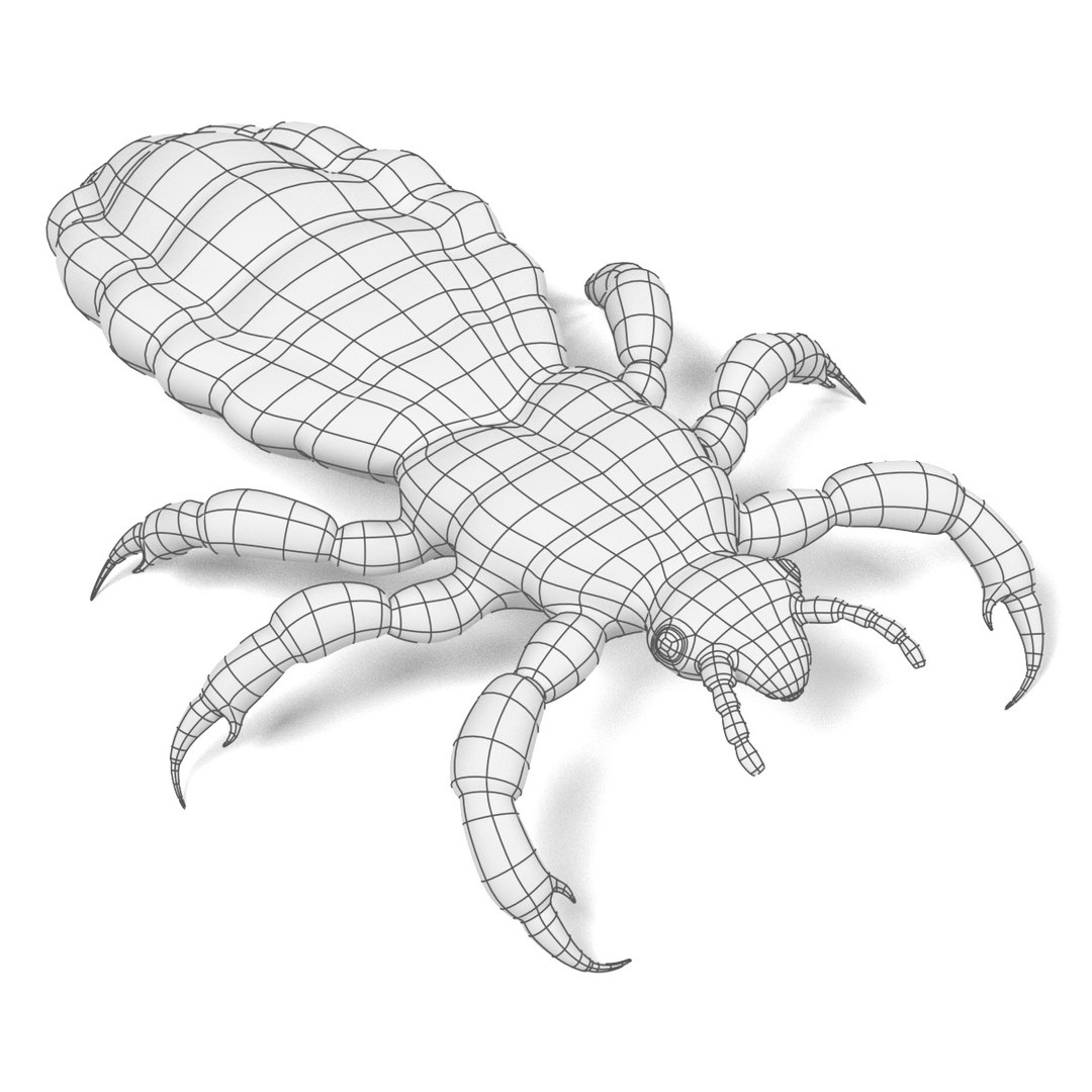 Lice Set 3d Model