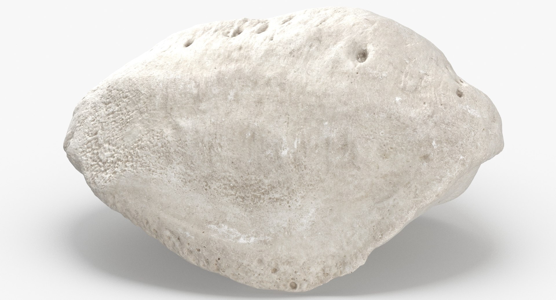 Real Human Patella Bone 3D - TurboSquid 1659738