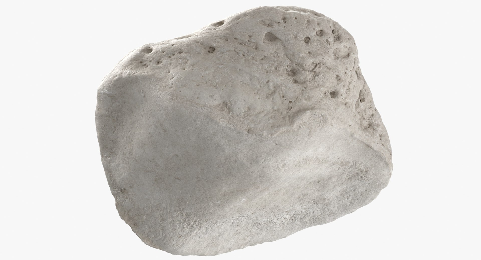 Real Human Patella Bone 3D - TurboSquid 1659738