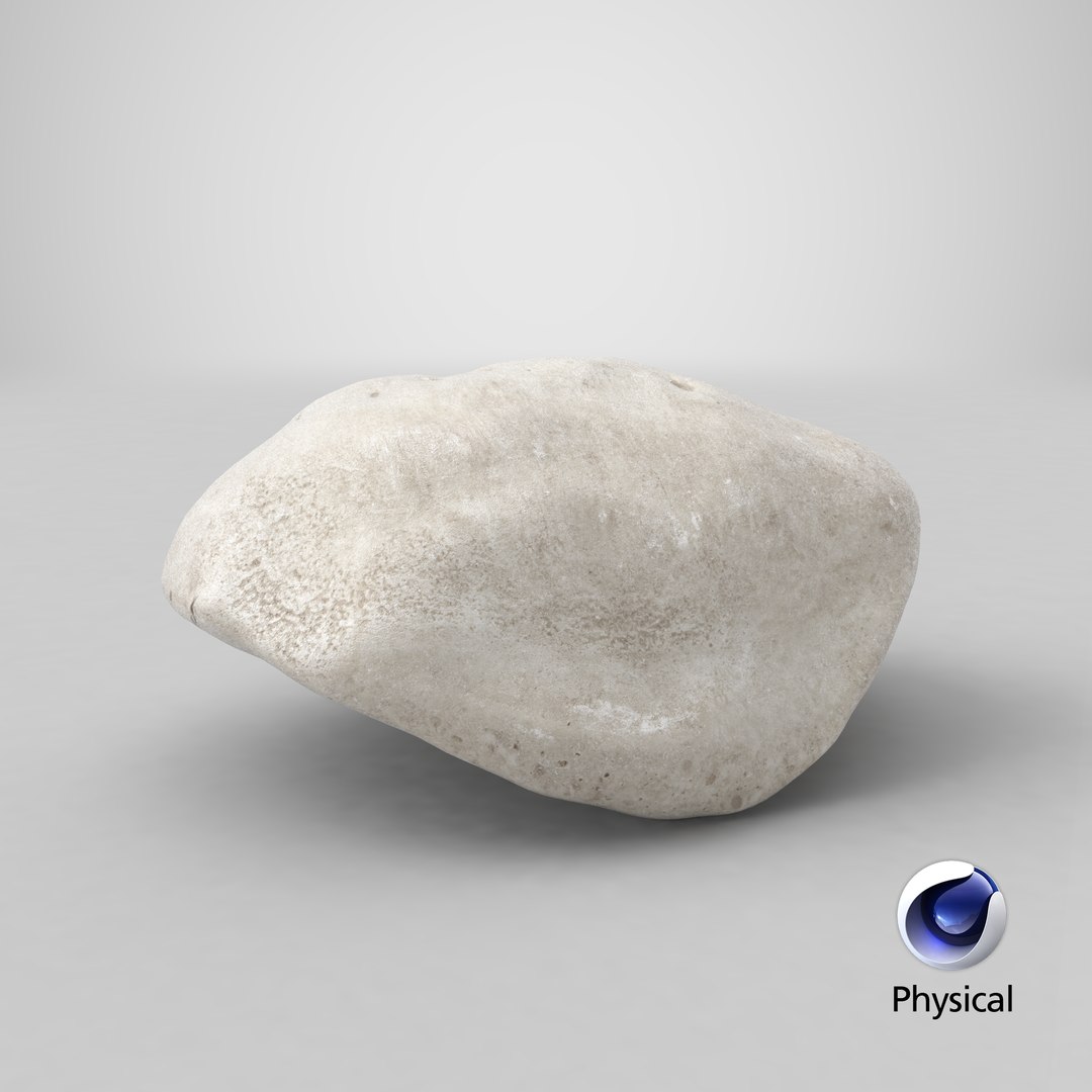 Real Human Patella Bone 3D - TurboSquid 1659738