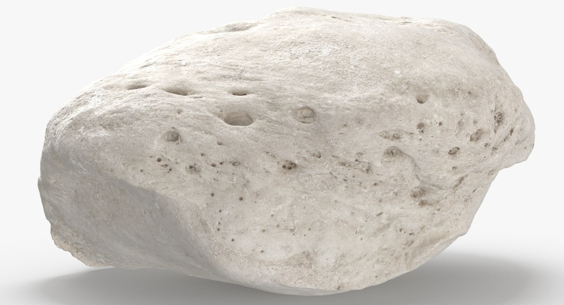 Real Human Patella Bone 3D - TurboSquid 1659738