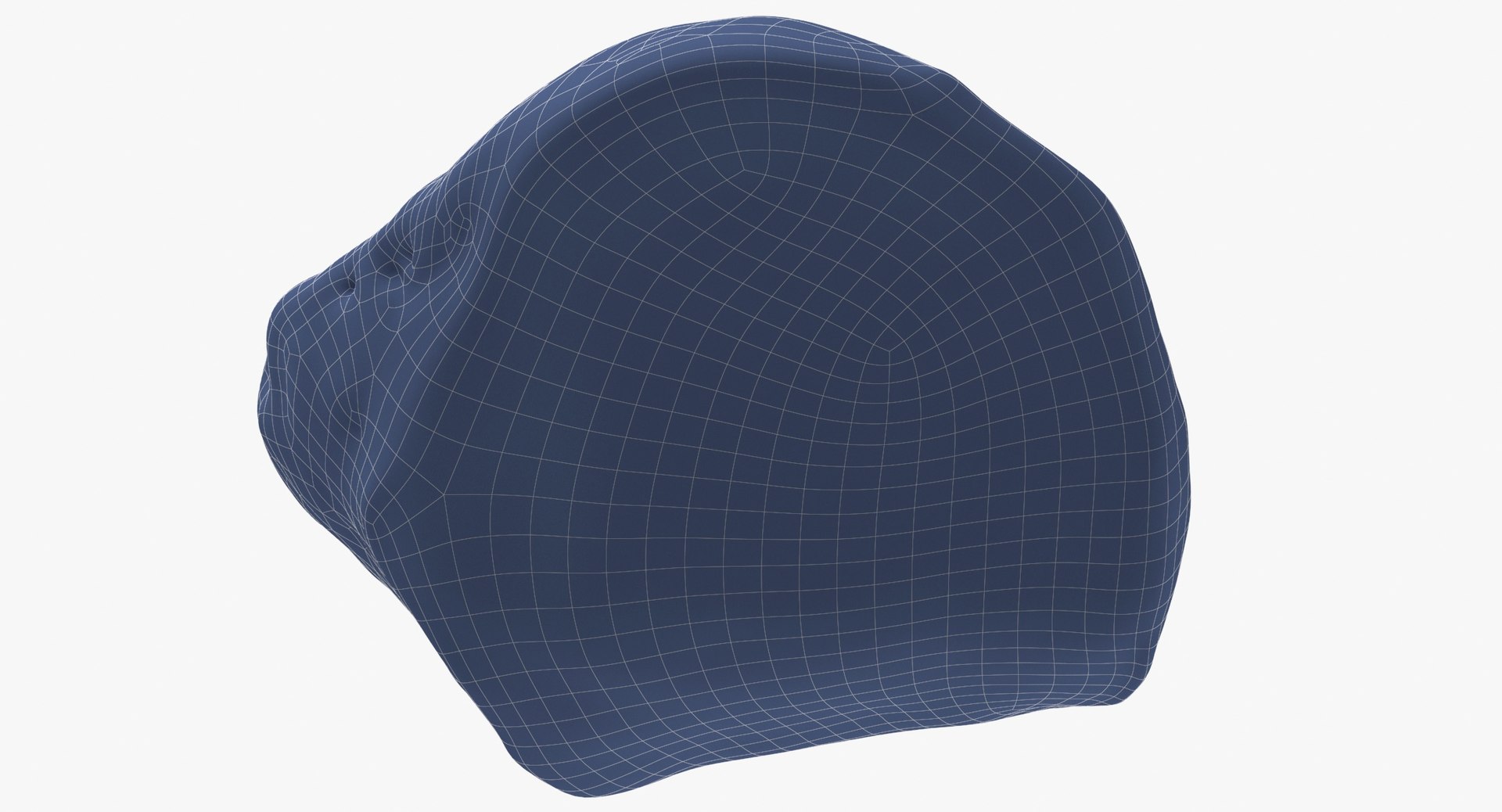 Real Human Patella Bone 3D - TurboSquid 1659738