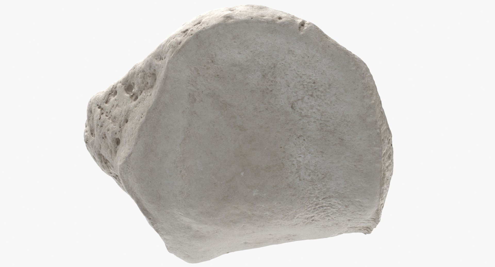 Real Human Patella Bone 3D - TurboSquid 1659738