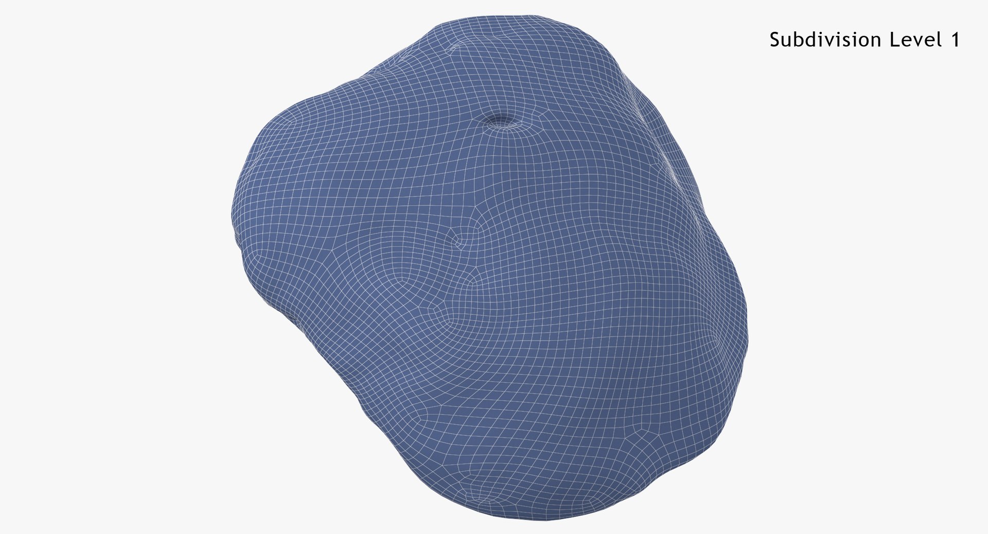 Real Human Patella Bone 3D - TurboSquid 1659738