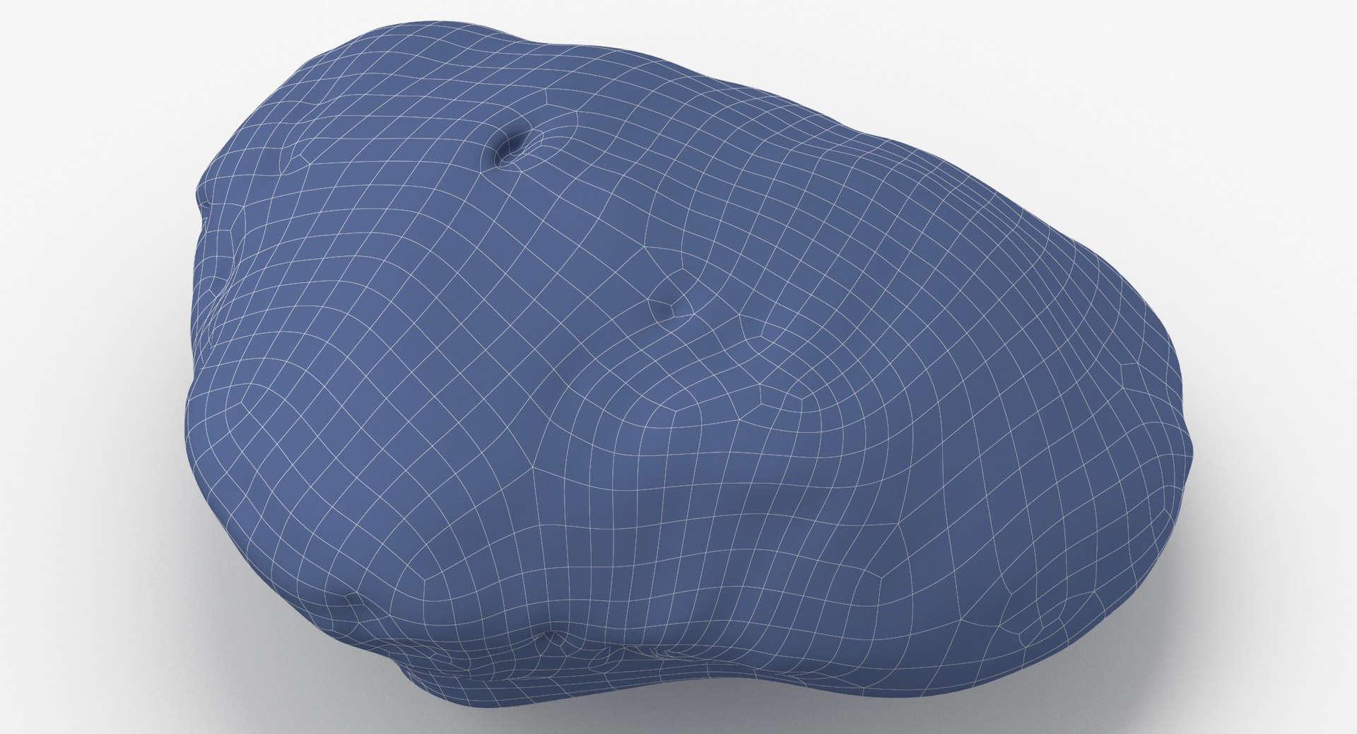 Real Human Patella Bone 3D - TurboSquid 1659738