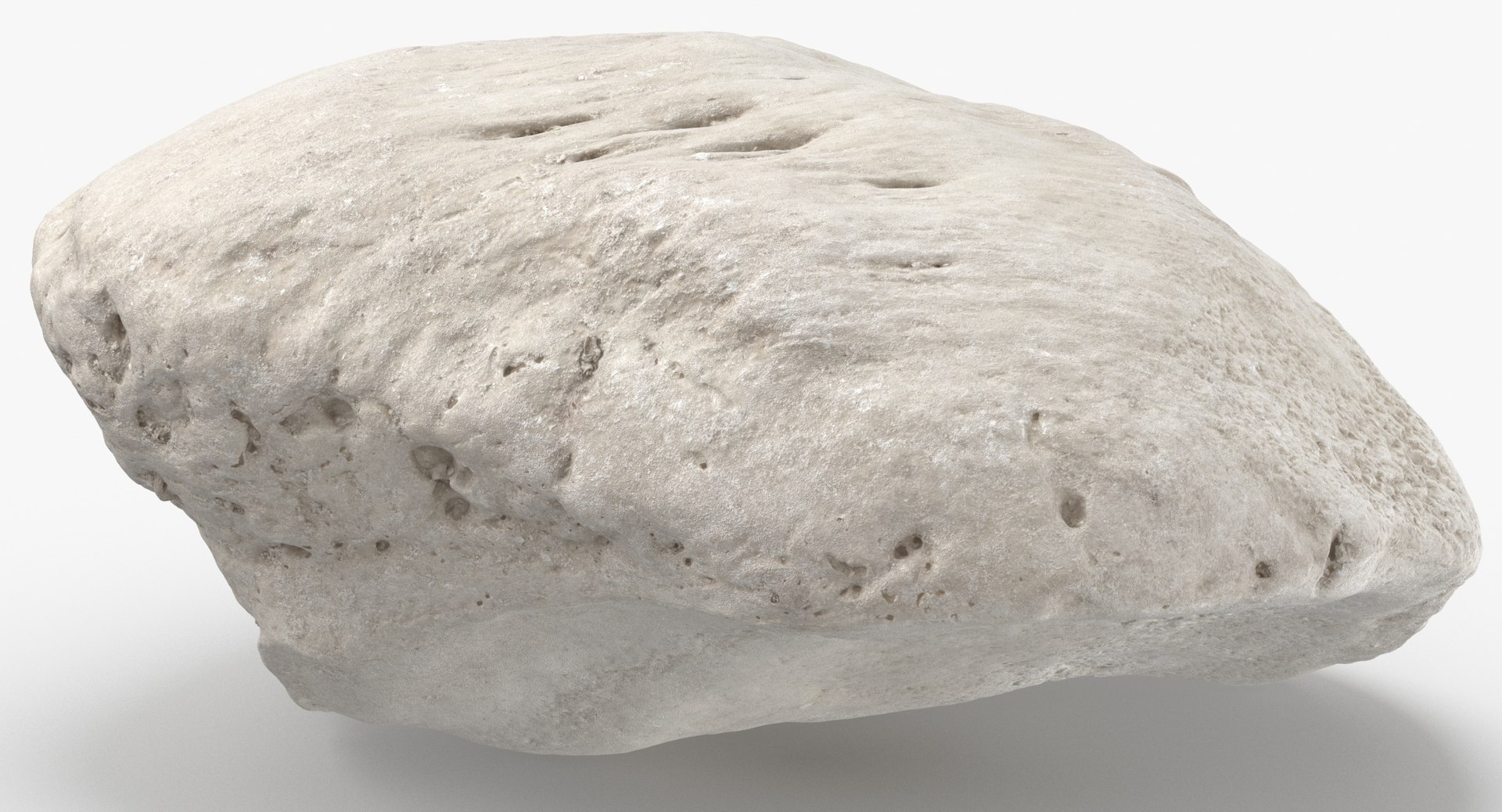 Real Human Patella Bone 3D - TurboSquid 1659738