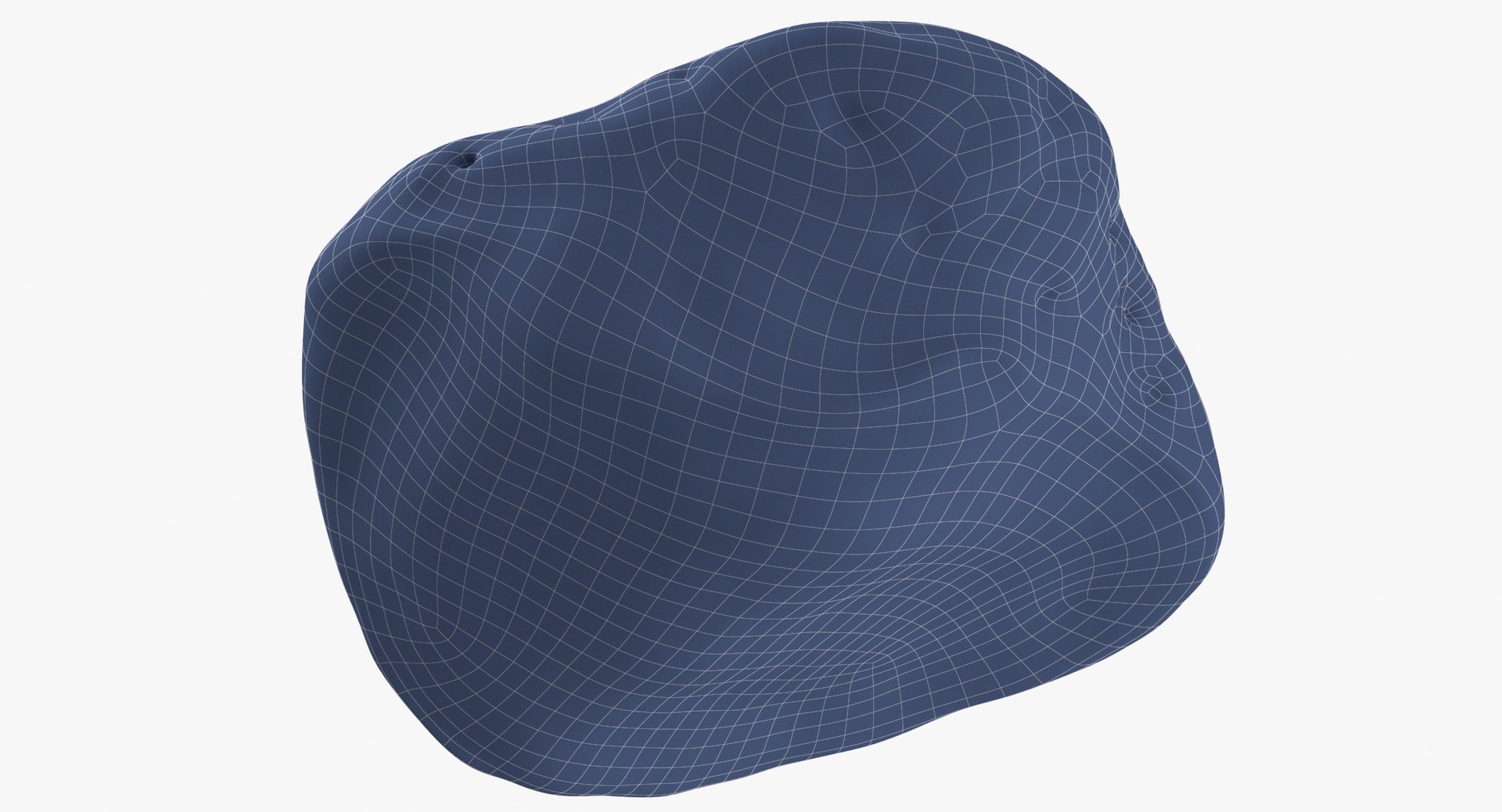 Real Human Patella Bone 3D - TurboSquid 1659738