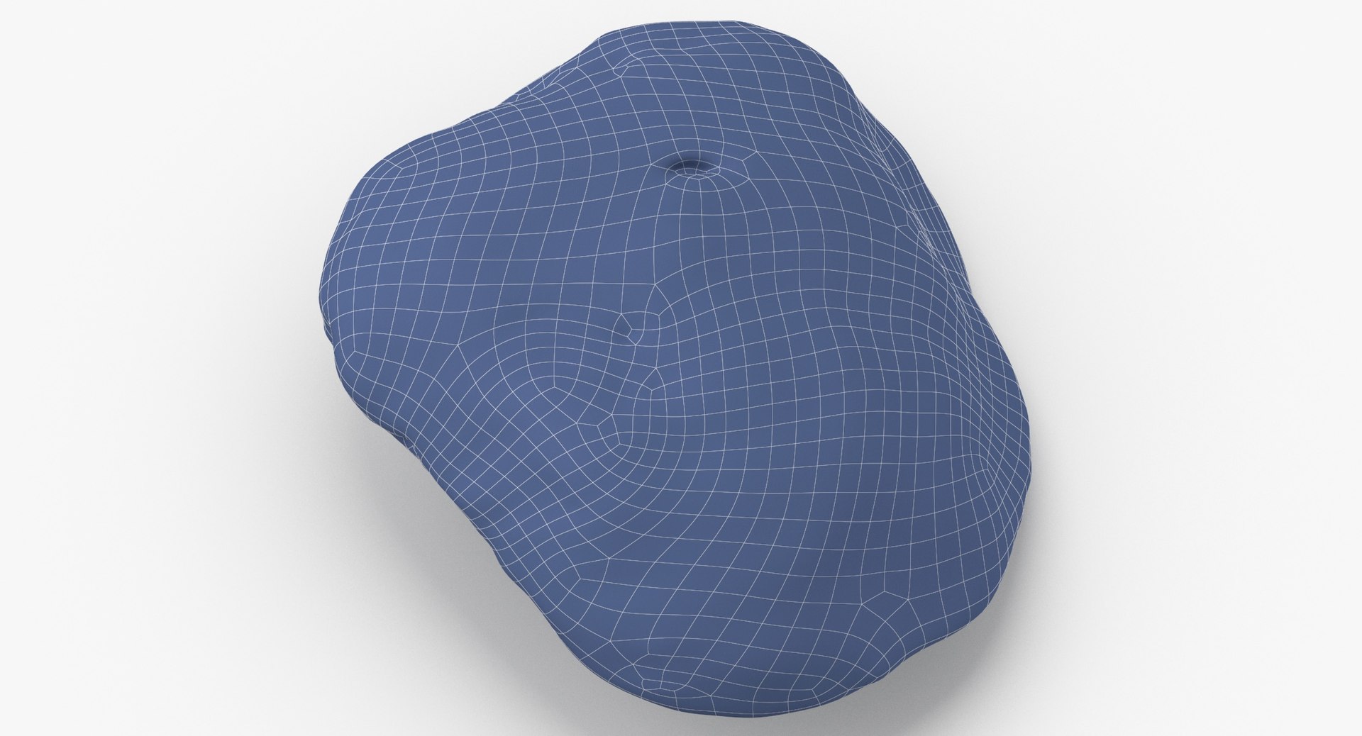 Real Human Patella Bone 3D - TurboSquid 1659738