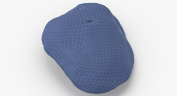 Real human patella bone 3D - TurboSquid 1659738