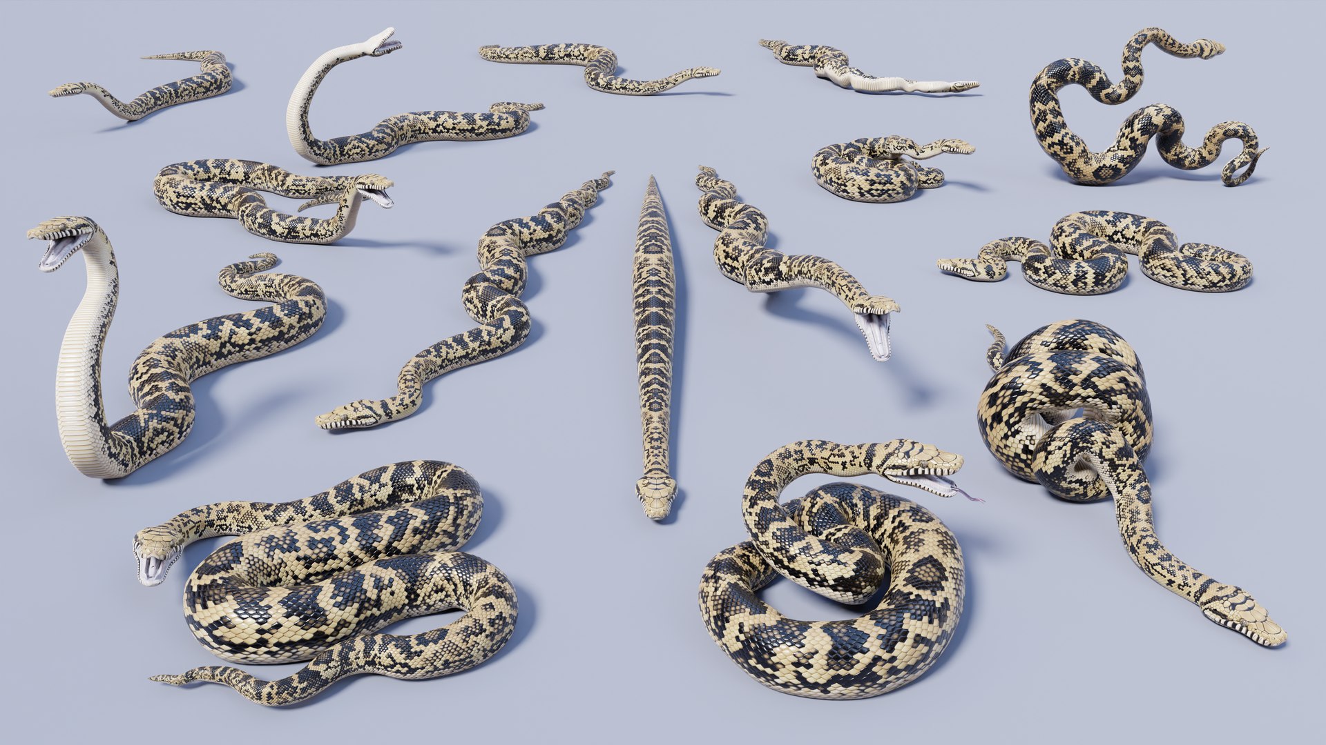 Scrub Python - Static Poses 3D model - TurboSquid 2020575