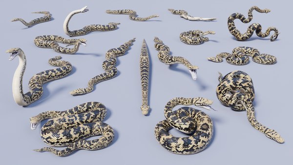 modelo 3d Scrub Python - Poses estáticas - TurboSquid 2020575