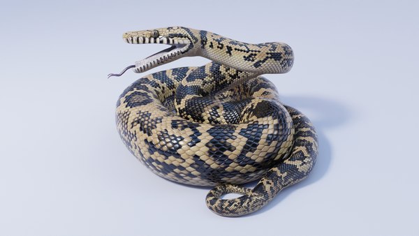 modelo 3d Scrub Python - Poses estáticas - TurboSquid 2020575