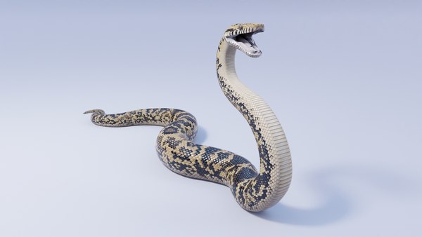 modelo 3d Scrub Python - Poses estáticas - TurboSquid 2020575