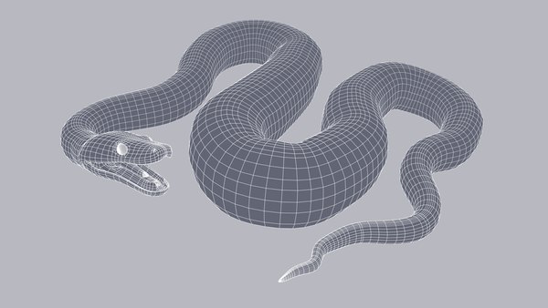 modelo 3d Scrub Python - Poses estáticas - TurboSquid 2020575