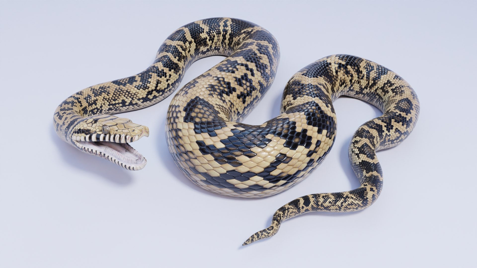 Scrub Python - Static Poses 3D model - TurboSquid 2020575