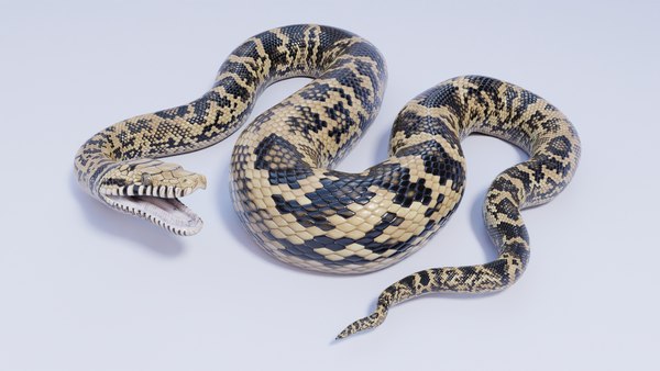 modelo 3d Scrub Python - Poses estáticas - TurboSquid 2020575