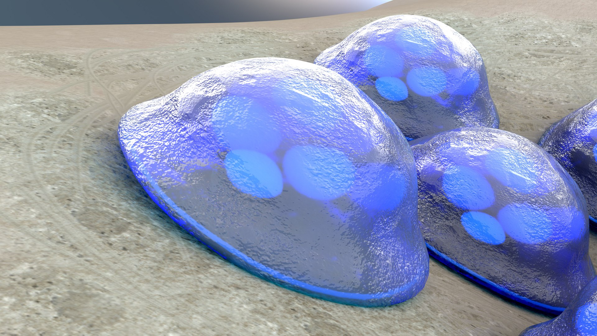 3D Osteoclast - TurboSquid 1961334