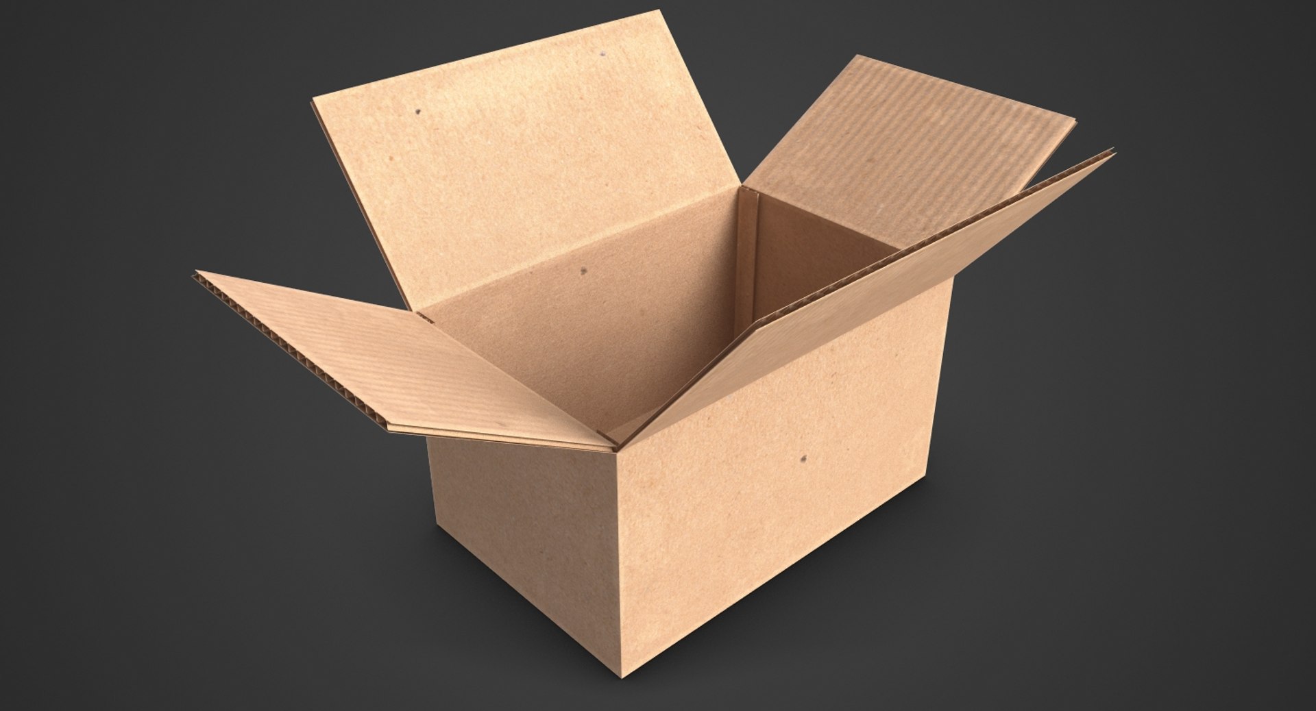 3d Paper Box Model