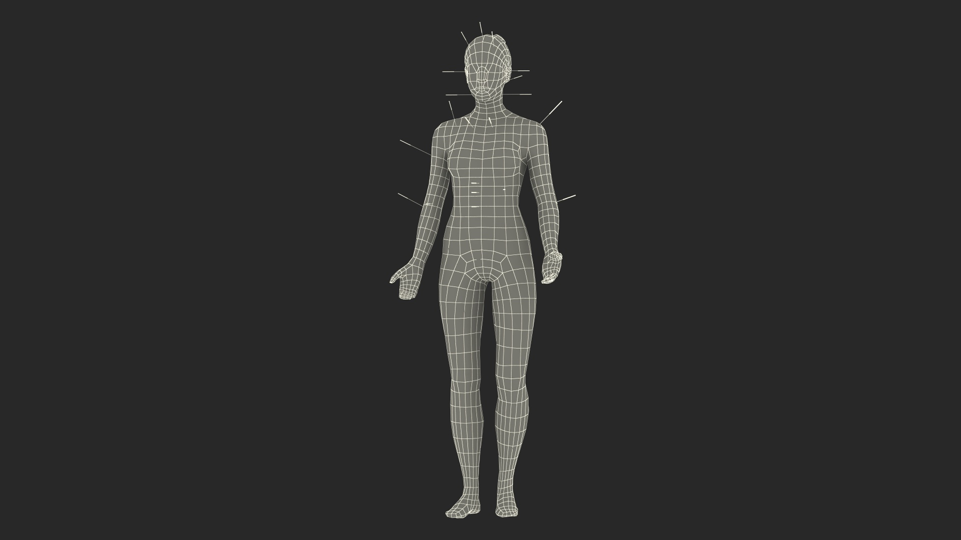 3D Female Acupuncture Anatomy Chart With Needles Model - TurboSquid 2253636