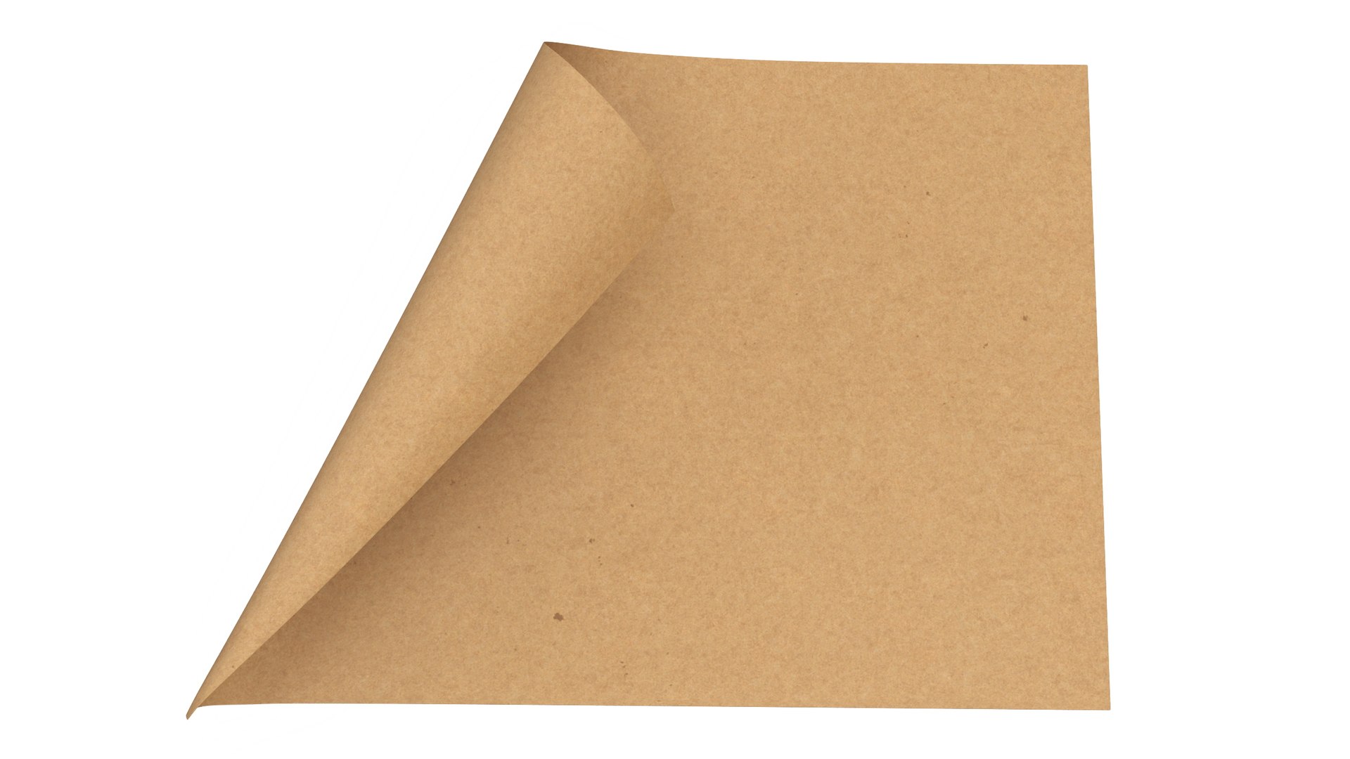 3D Curled Brown Paper Sheet - TurboSquid 1993723