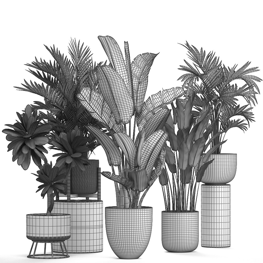 Ornamental Plants Pots Model - TurboSquid 1293989
