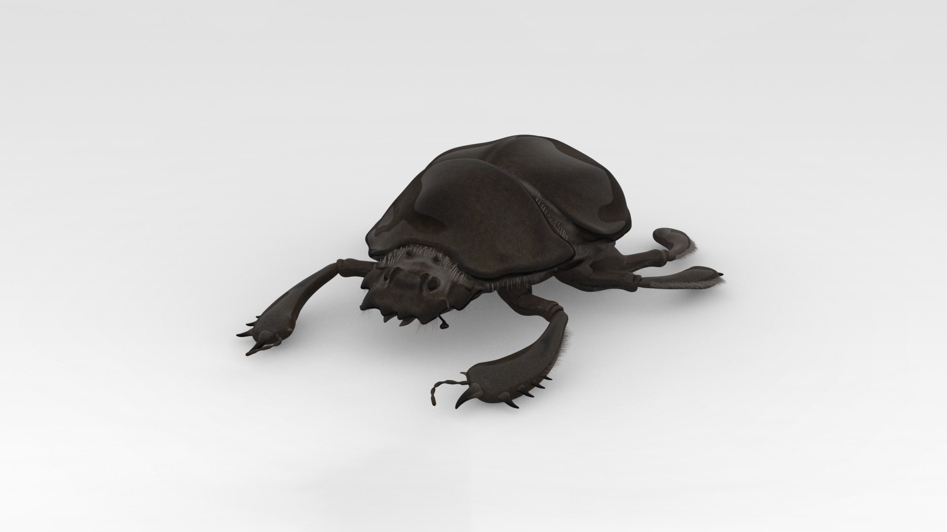 Scarab 3D Model - TurboSquid 1841355