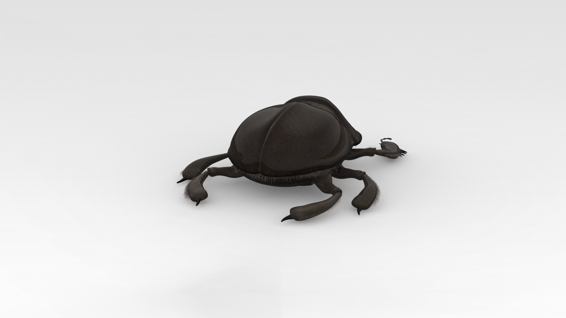 Scarab 3D Model - TurboSquid 1841355