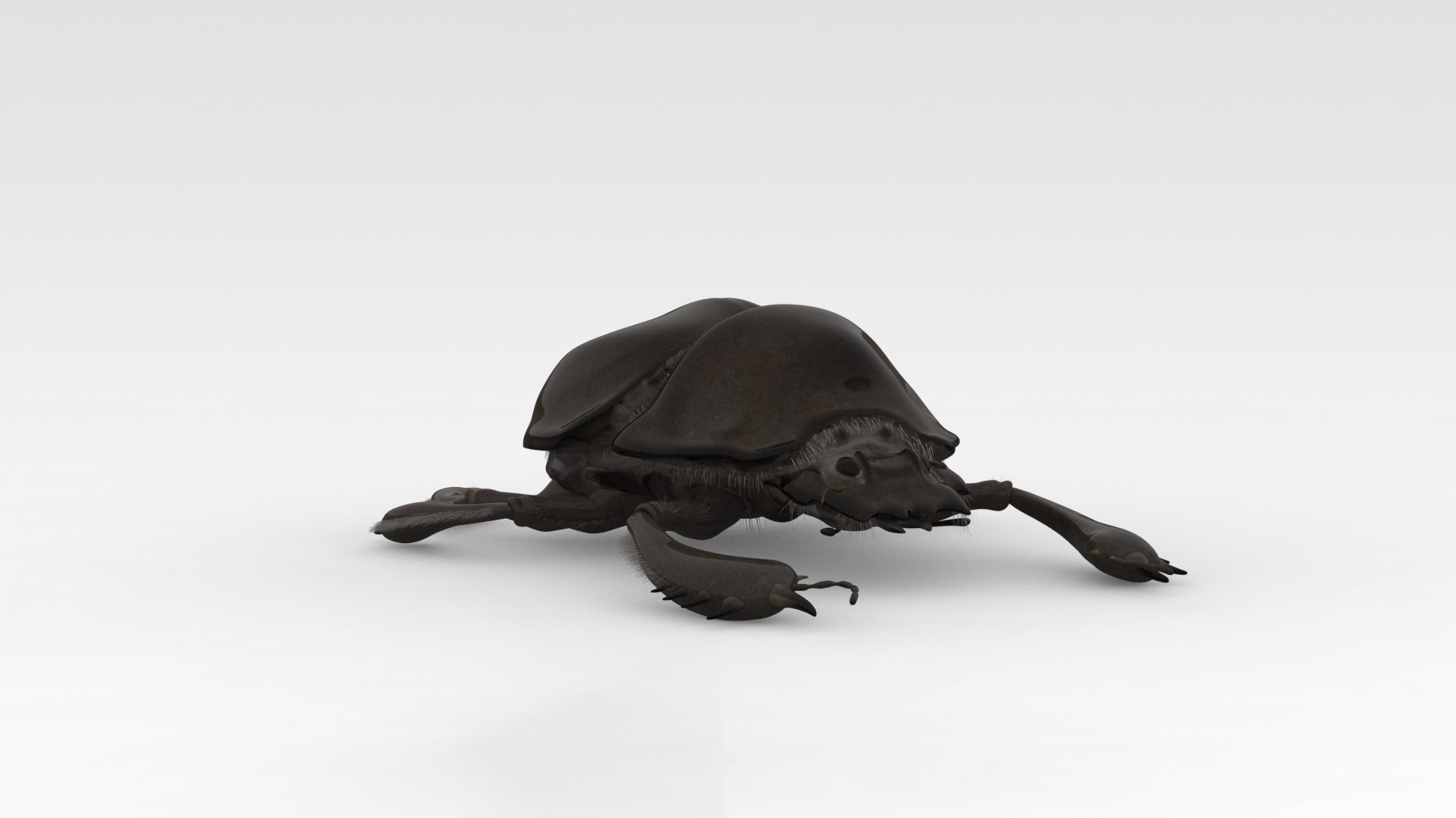 Scarab 3D Model - TurboSquid 1841355