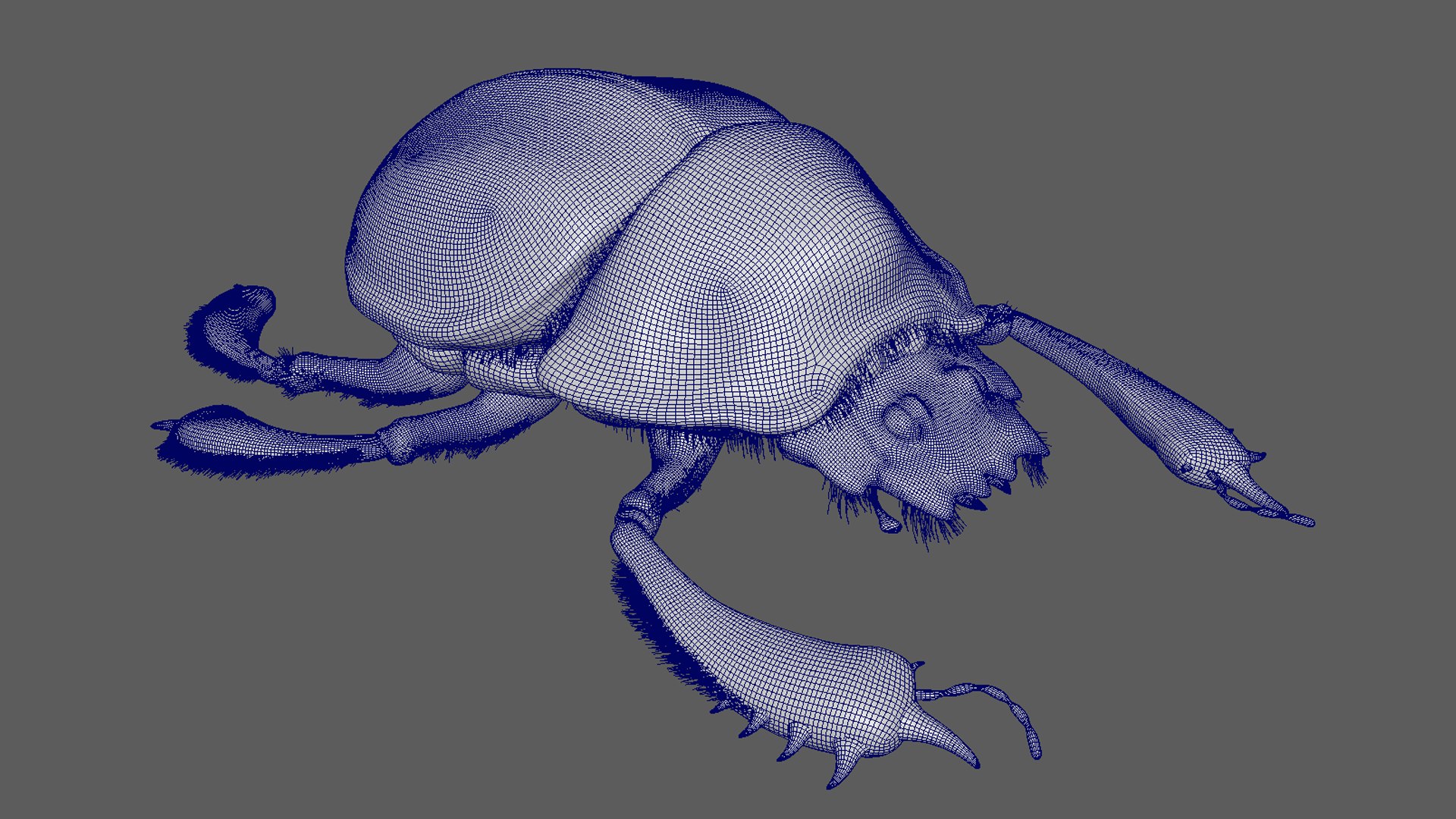 Scarab 3D Model - TurboSquid 1841355