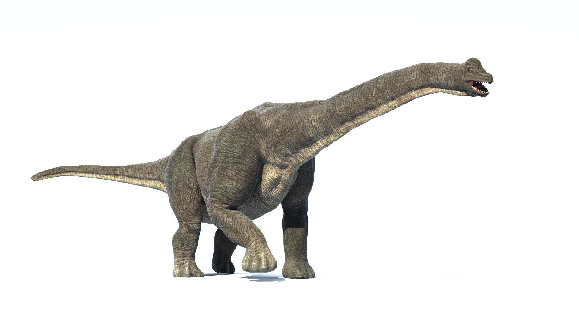 Brachiosaurus - Rigged And Animated 3D Model - TurboSquid 1774746