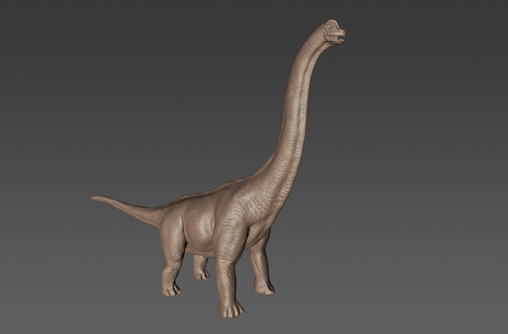 Brachiosaurus - Rigged and Animated 3D model - TurboSquid 1774746