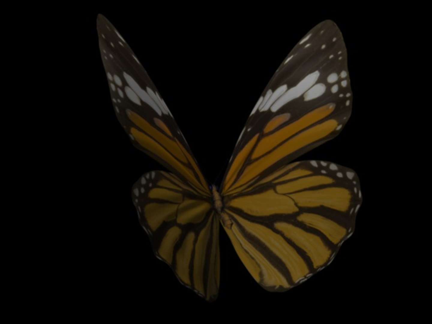 C4d 11 Butterfly Rigged
