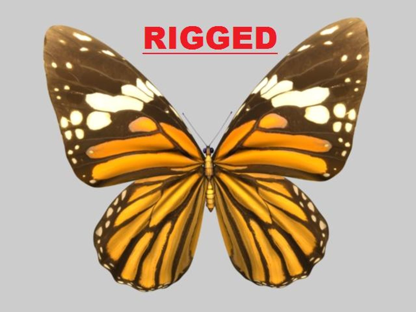 C4d 11 Butterfly Rigged