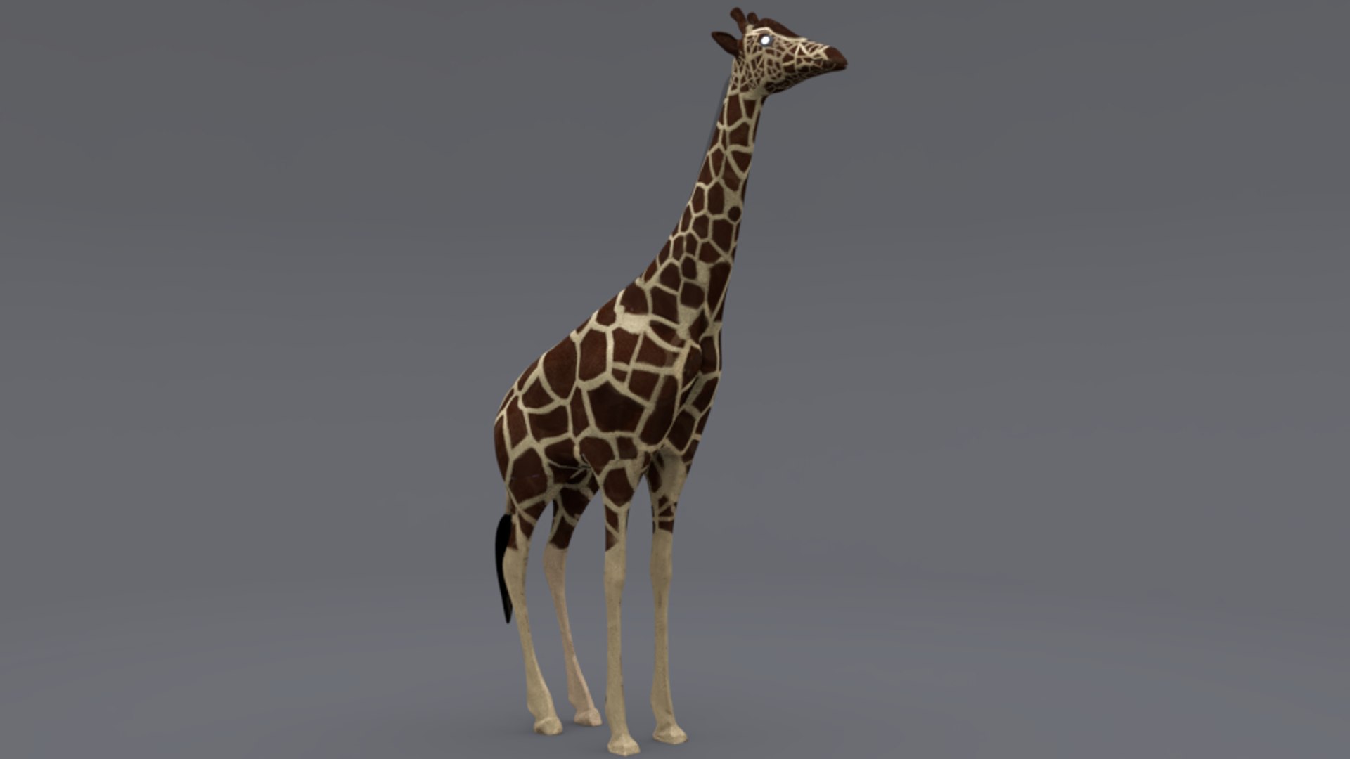 3D Model Giraffe - TurboSquid 1376758