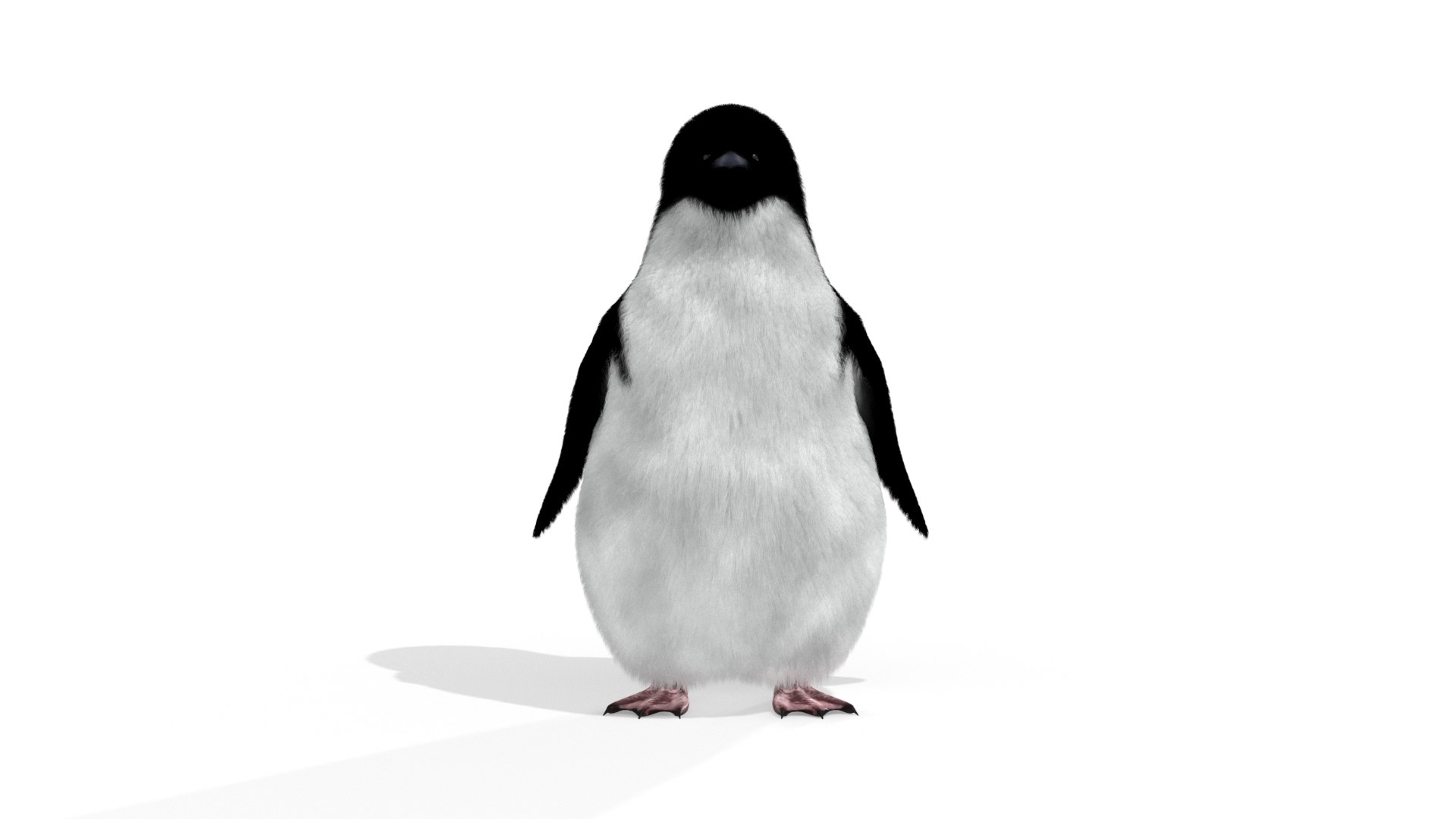3D Penguin Model - TurboSquid 1877361