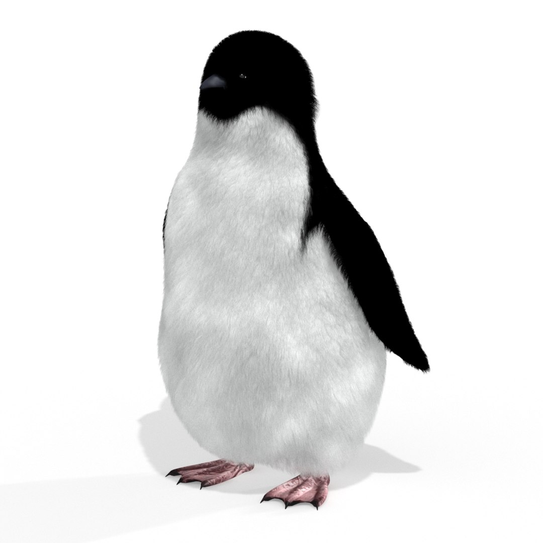 3D Penguin Model - TurboSquid 1877361