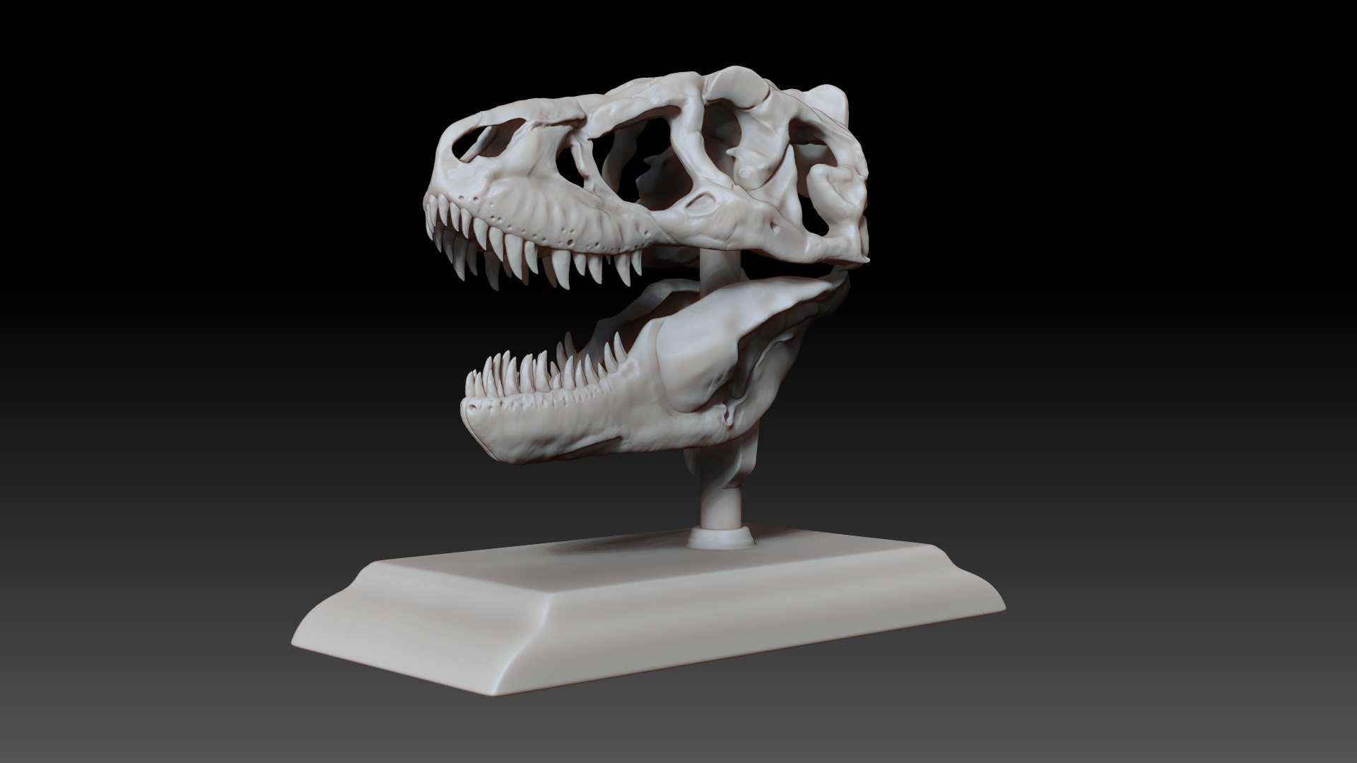 Skull Tarbosaurus Printable 3D - TurboSquid 1694992