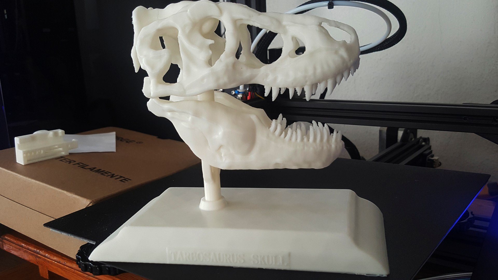 Skull Tarbosaurus Printable 3D - TurboSquid 1694992