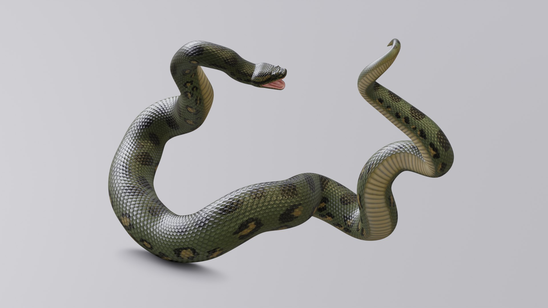 Green Anaconda - Rigged 3D - TurboSquid 1774455