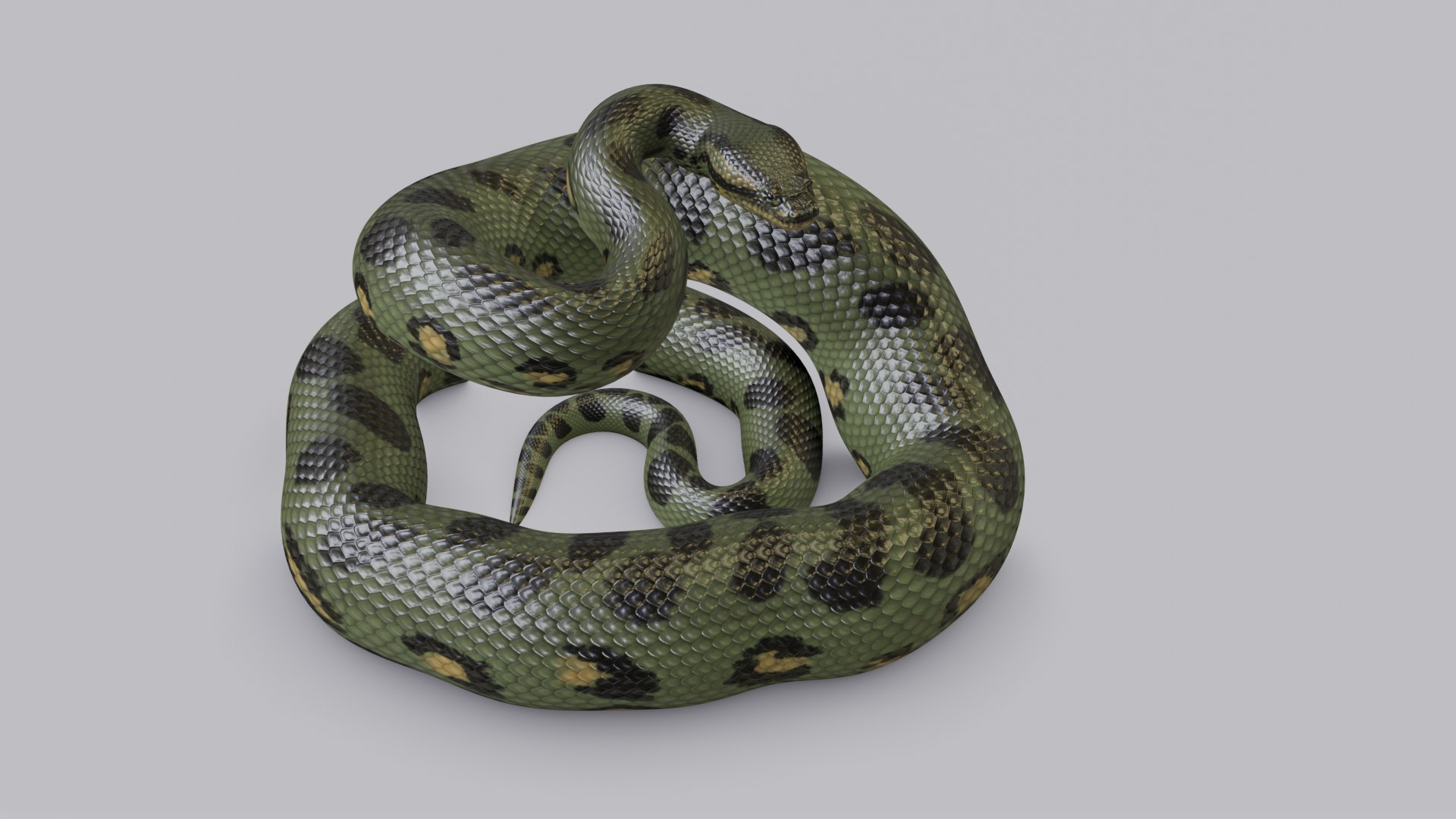 Green Anaconda - Rigged Modelo 3D - TurboSquid 1774455