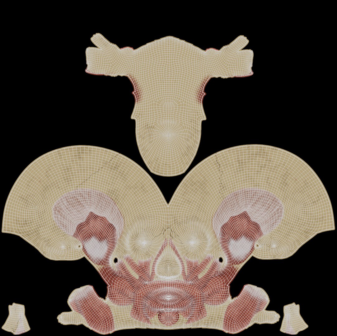 3D Model Human Anatomy-Muscular System-Head Masticatory Muscle-Left ...
