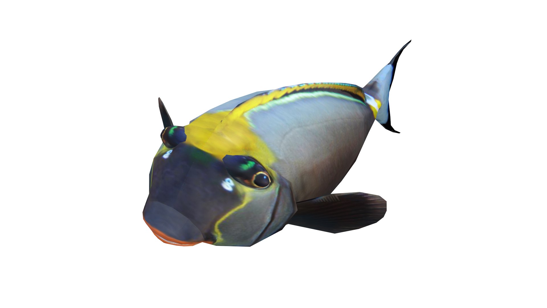A Surgeonfish 3D Model 3D Model - TurboSquid 2310640
