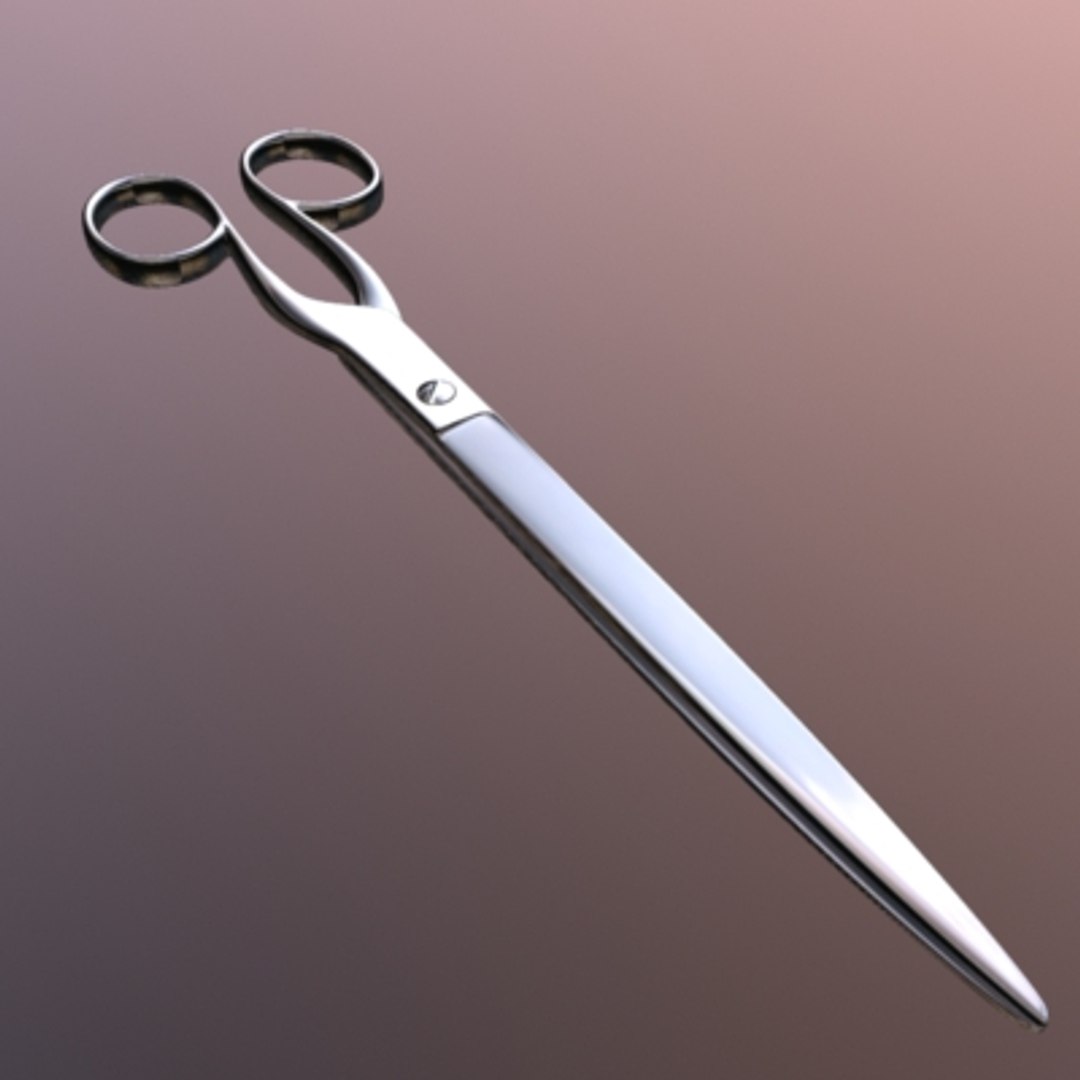 Scissors 3d Max