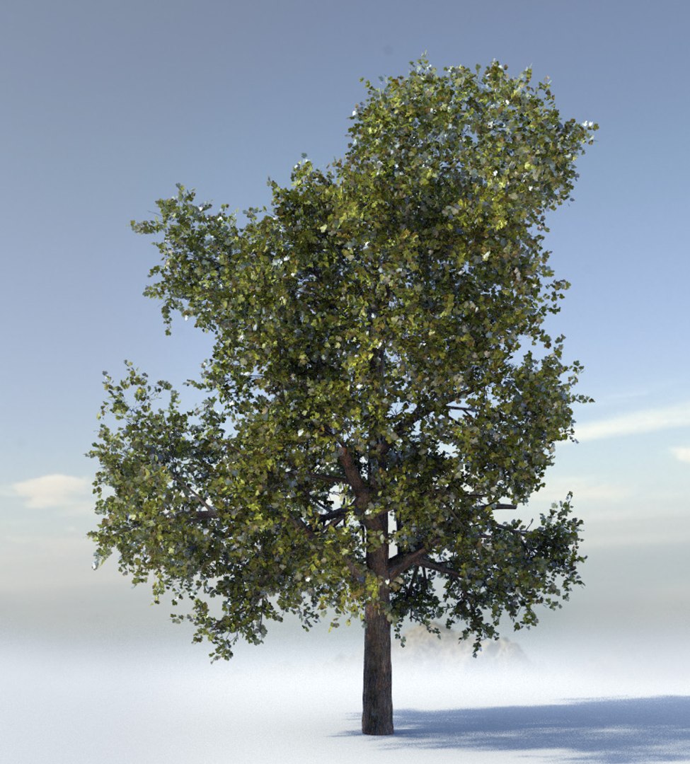 tree quads 3d obj