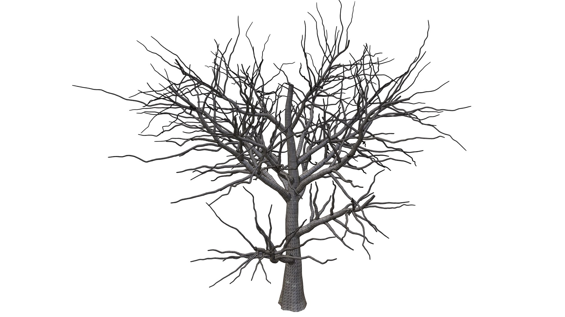 Dry Tree 3D - TurboSquid 1940045