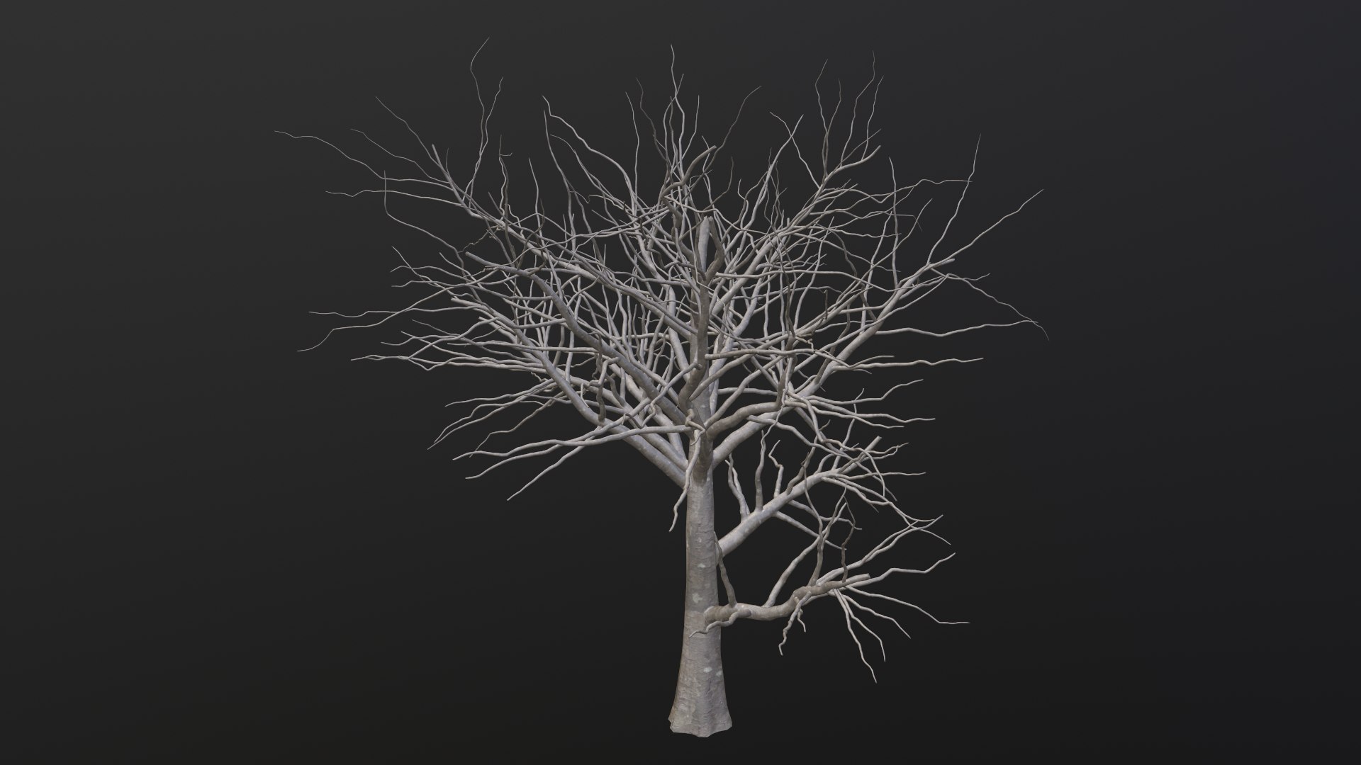 Dry Tree 3D - TurboSquid 1940045