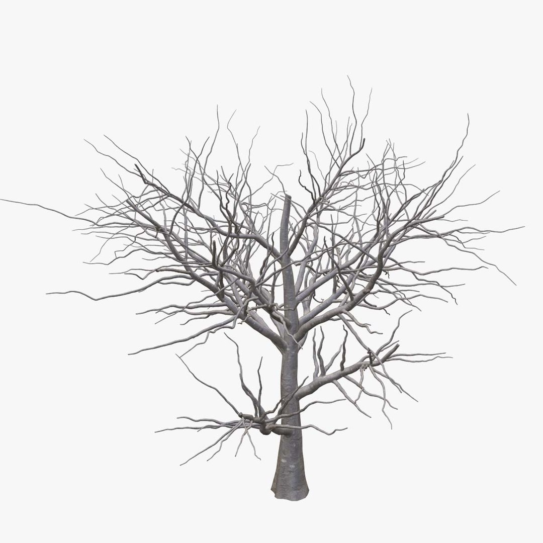 Dry Tree 3D - TurboSquid 1940045