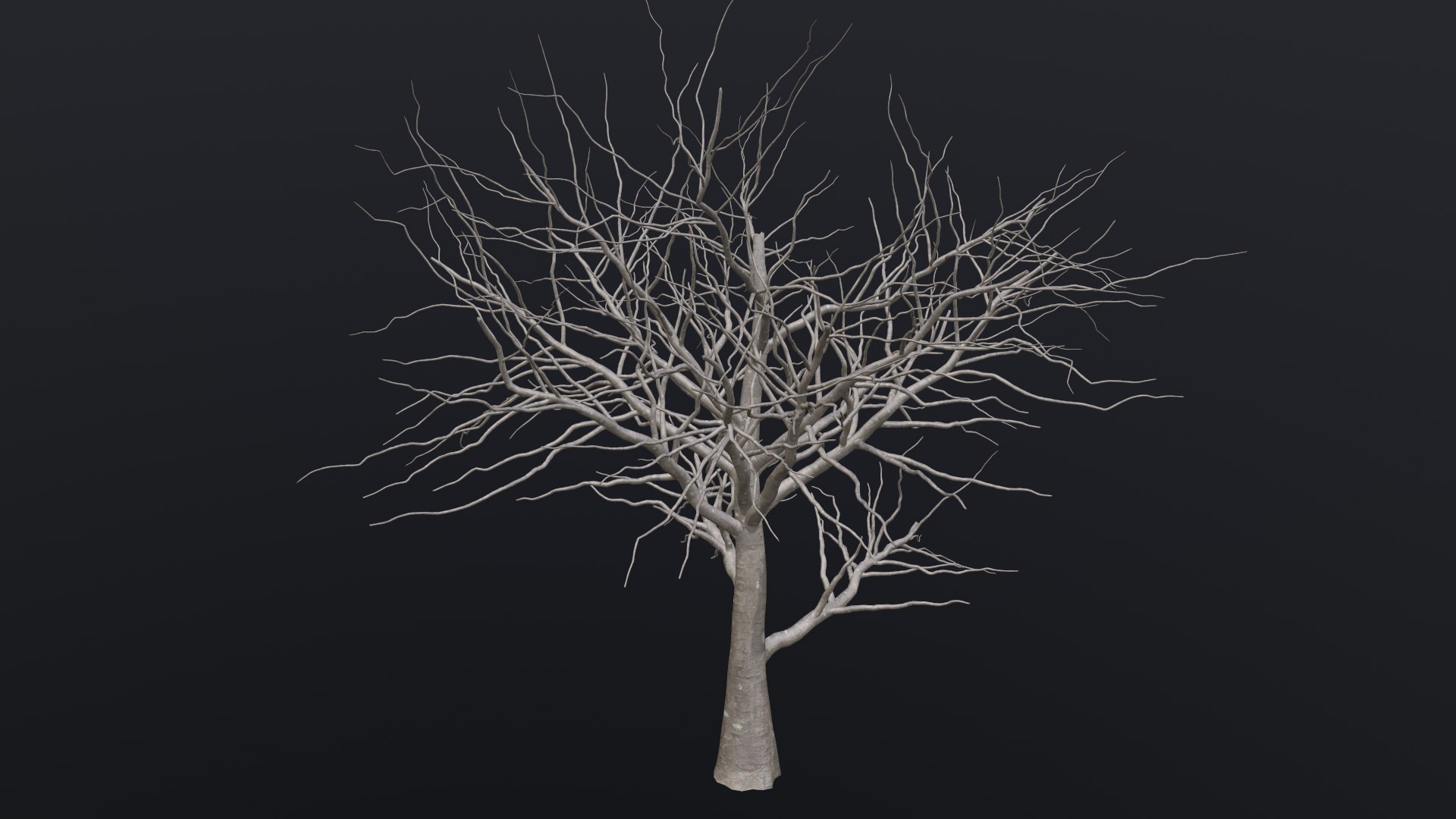 Dry Tree 3D - TurboSquid 1940045